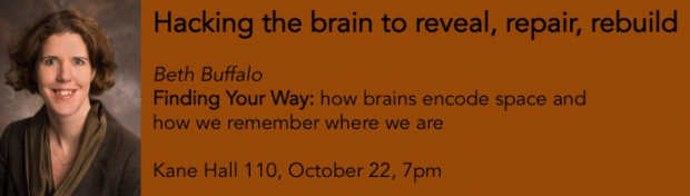 Brain University continues – Computational Neuroscience Center